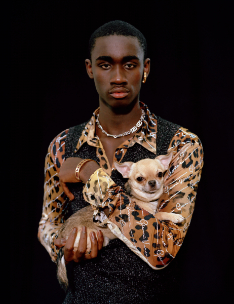 SEYID FALL - Major srl