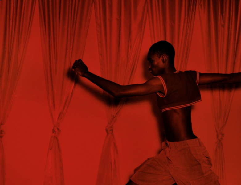 SEYID FALL - Major srl